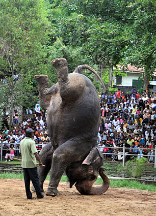 301 Moved Permanently